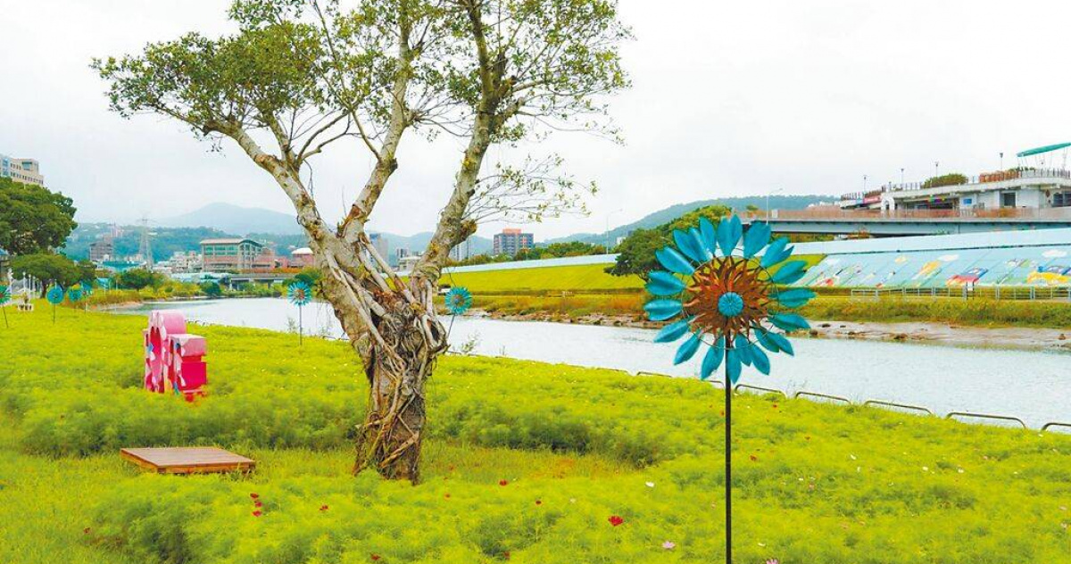 康芮颱風辣手摧花！關渡花海僅開5成 期待陽光助復甦 | 生活 | CTWANT