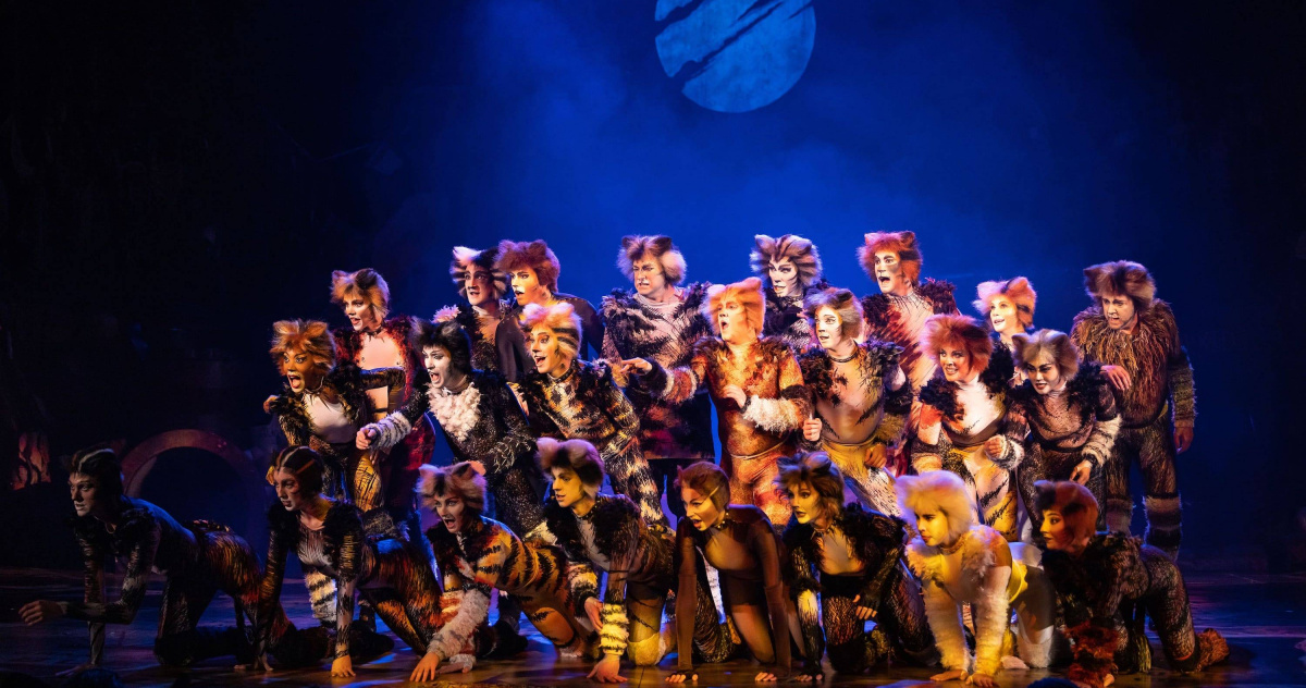 《貓》劇7度巡迴演出 來台20周年重返國家戲劇院 | 娛樂 | CTWANT