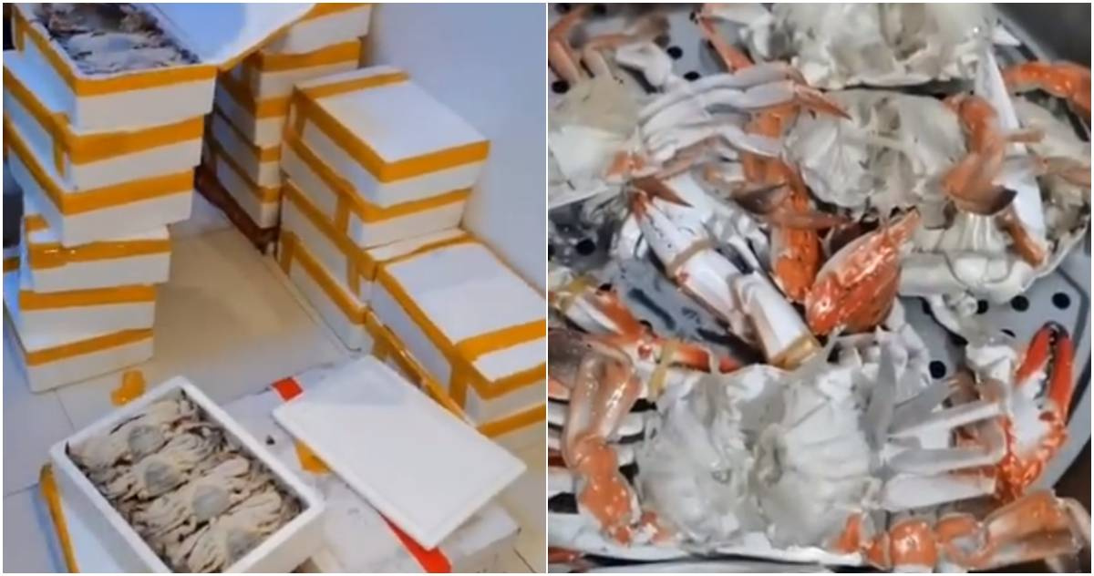 螃蟹「每箱賣300元」超俗 他一口氣爆買30箱！蒸熟後崩潰了：全部拿去餵雞 | 國際 | CTWANT