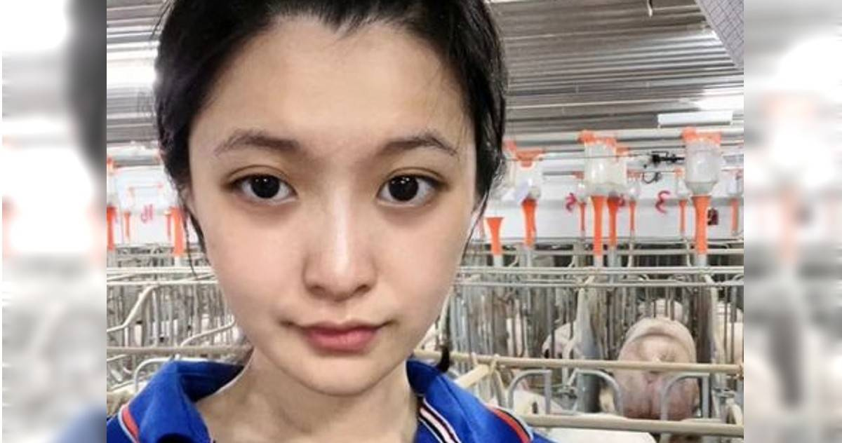 養豬場竟有「校花級女工」來上班 24歲正妹揭真實年薪 | 國際 | CTWANT