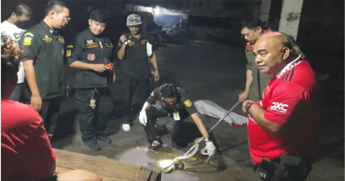 緬籍男子屍體旁蟒蛇徘徊 離奇事件村民信「靈魂附身蛇」 | 國際 | CTWANT