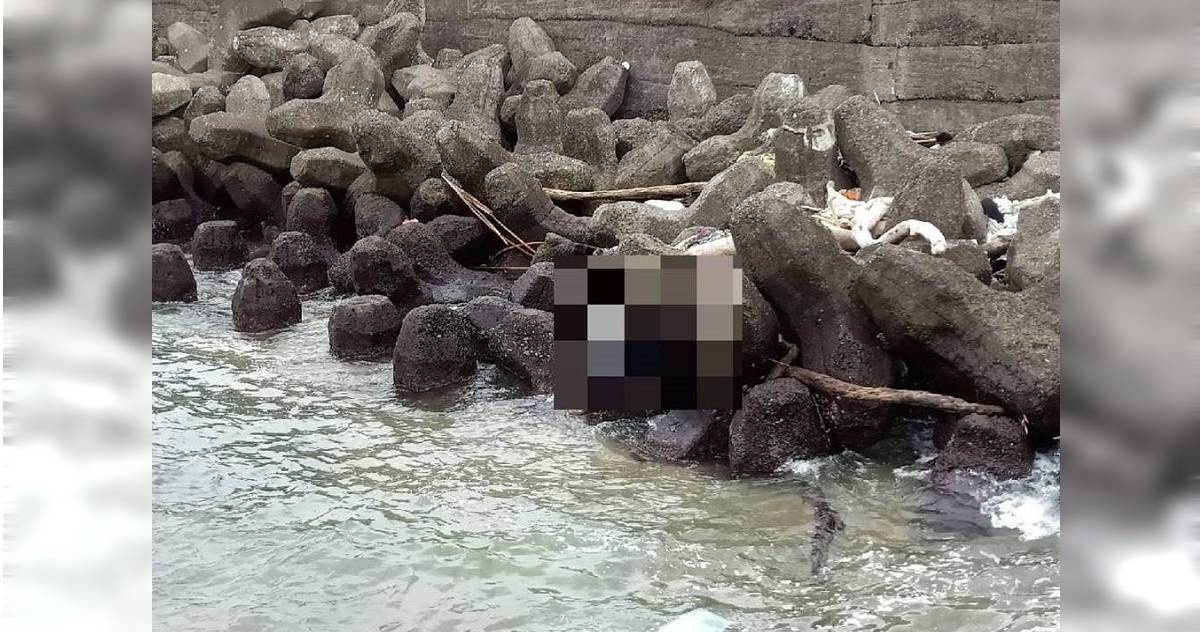 野柳海王星碼頭驚見男屍 警消拉上岸釐清身分 | 社會 | CTWANT