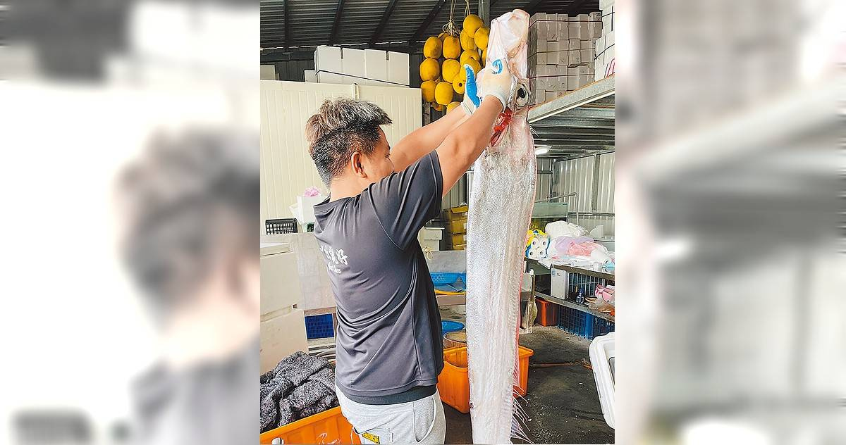 地震魚今年頻現蹤！ 口感水嫩似「平價版紅喉」富商機 | 生活 | CTWANT