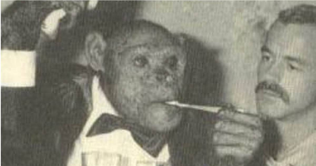 恐怖蘇聯「Humanzee」實驗 科學家人猩雜交培養「超級士兵」 | 國際 | CTWANT