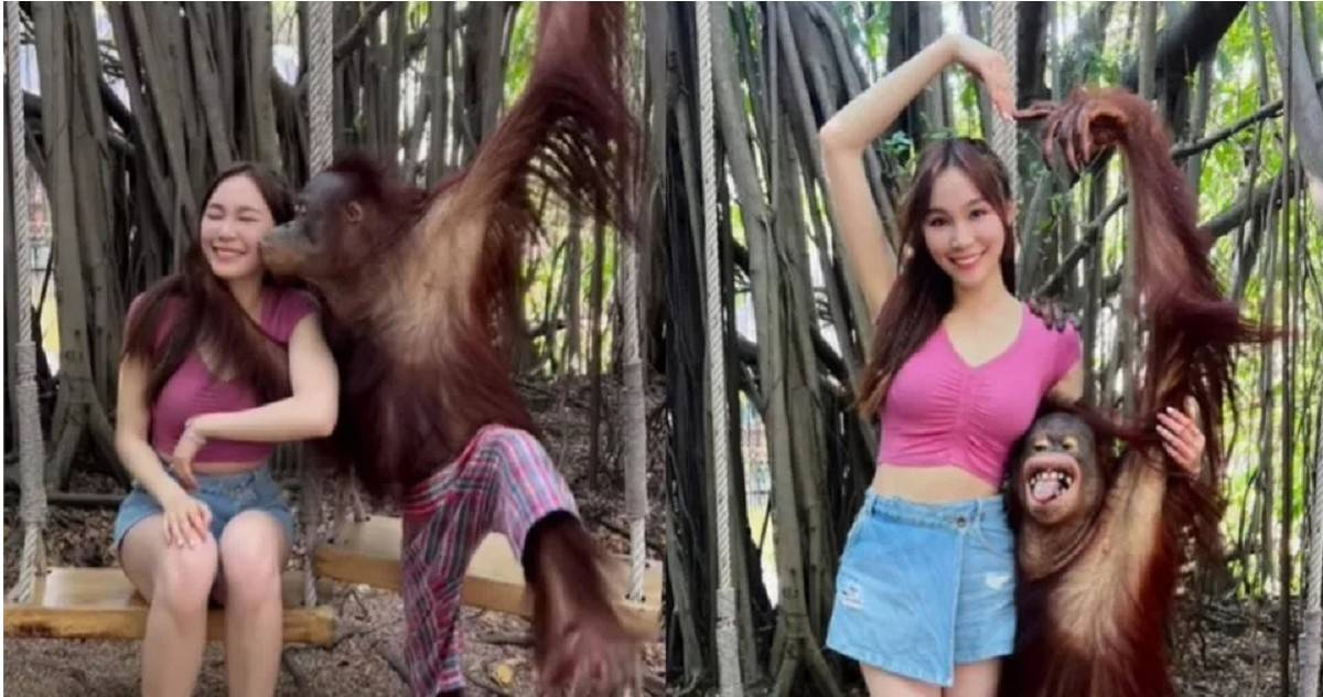 新一代宅男女神赴泰國遭鹹豬手 猩猩環抱襲胸粉絲怒：放開那女孩 | 娛樂 | CTWANT