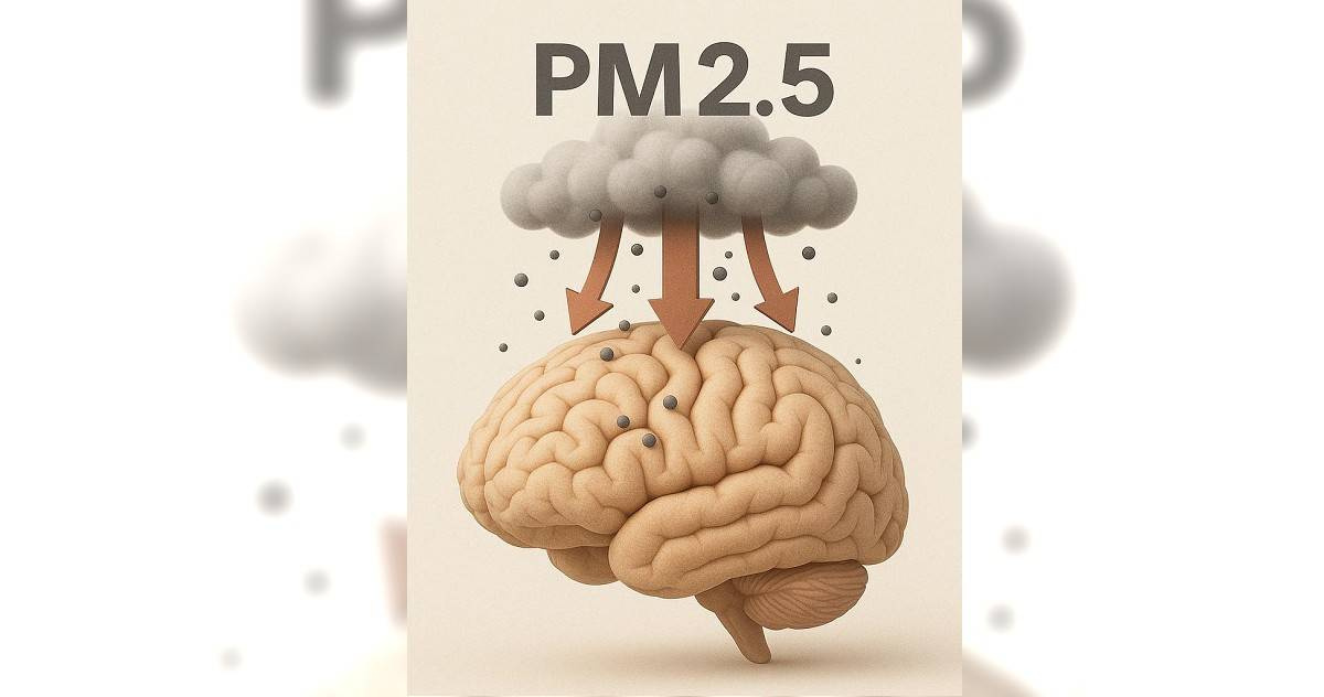 空污不是只傷肺！ 專業醫研究揭PM2.5加速腦部退化 | 生活 | CTWANT