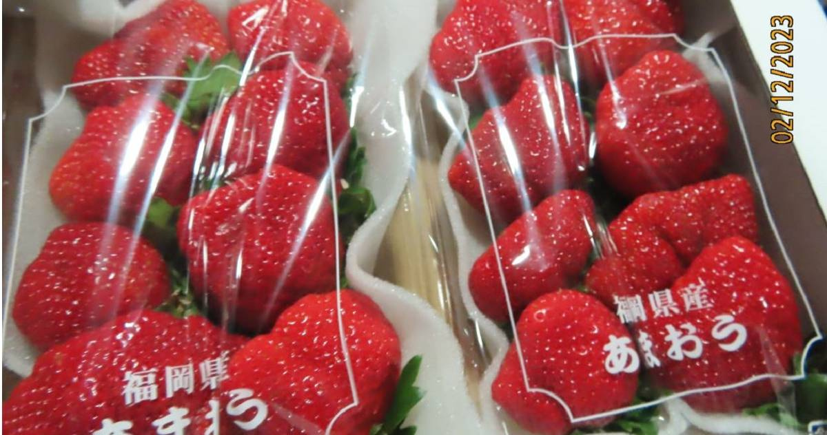 逾227公斤「日本進口草莓」又農藥超標 將「100%最嚴格查驗」至113年4月 | 生活 | CTWANT