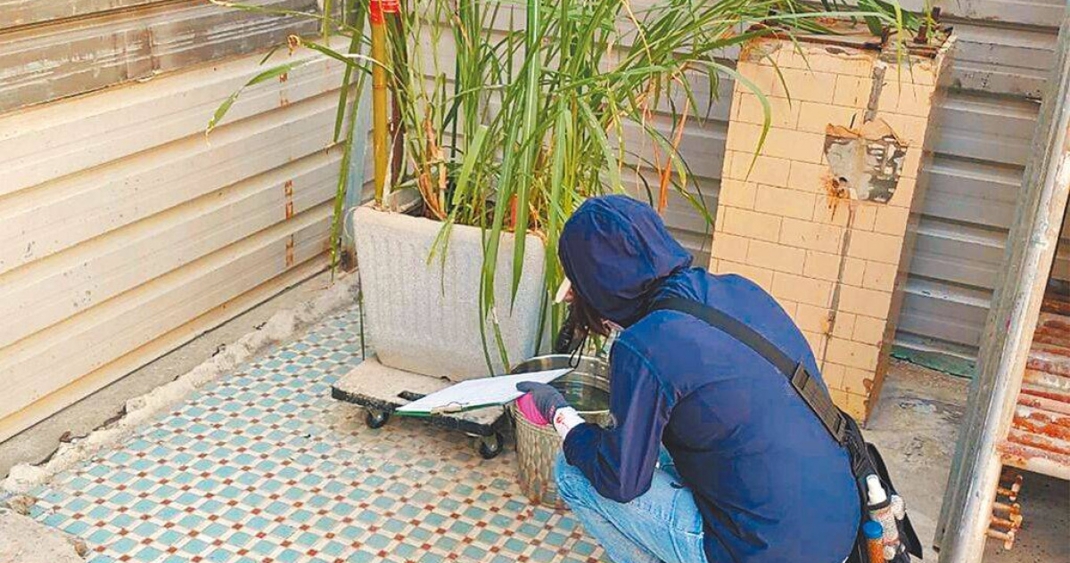 台南登革熱境外移入+1！ 4／1起查獲登革熱孳生源最高罰1.5萬元 | 生活 | CTWANT