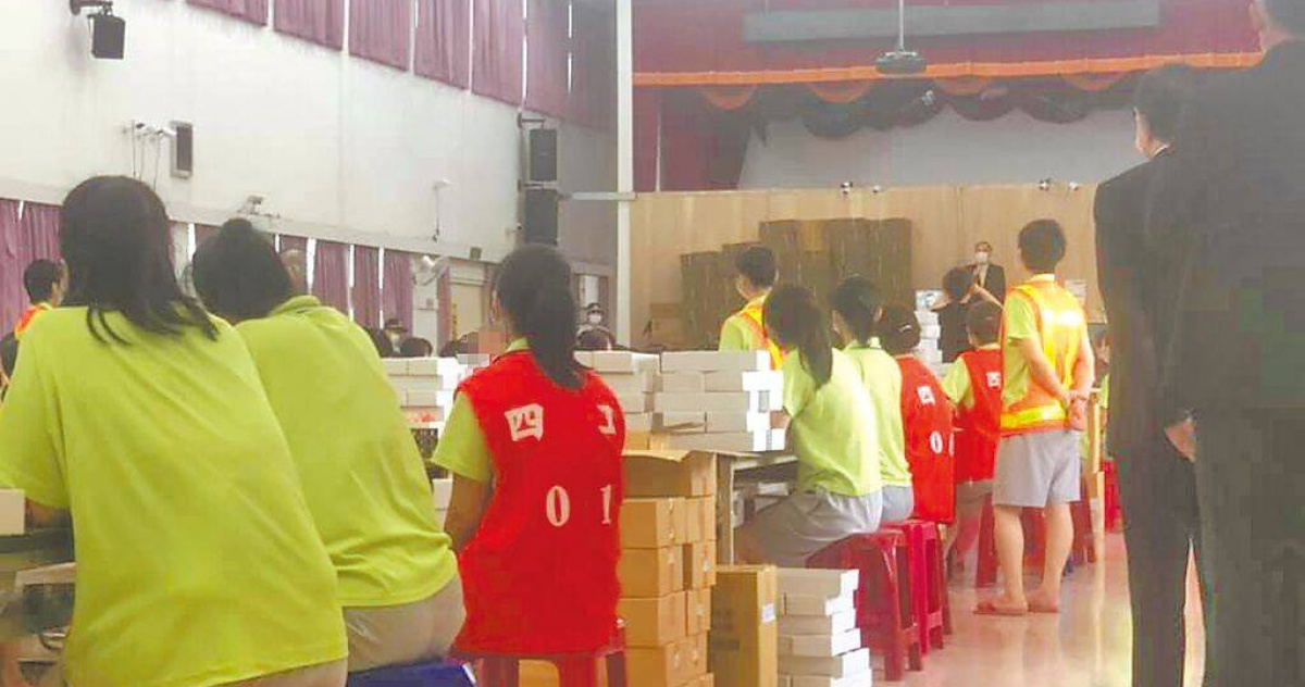 女性罪犯人數大增 易被詐團吸收成問題 | 社會 | CTWANT