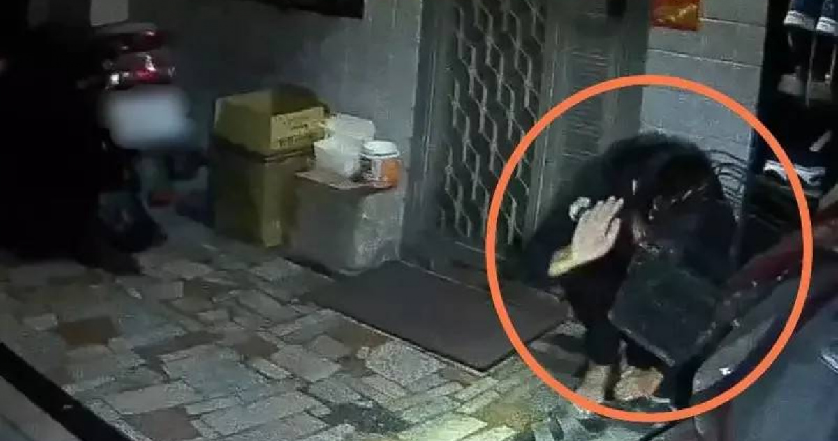 台南男護通緝友人竟闖紅燈逆向狂飆 警連開15張罰單下場慘 | 社會 | CTWANT