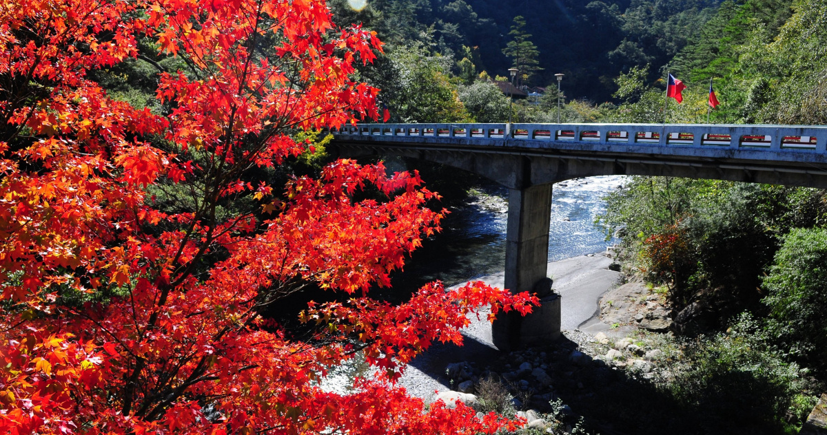 國旅不怕貴！富野集團推「住十送十」優惠專案 等同買一送一 創造高CP值假期 | 生活 | CTWANT