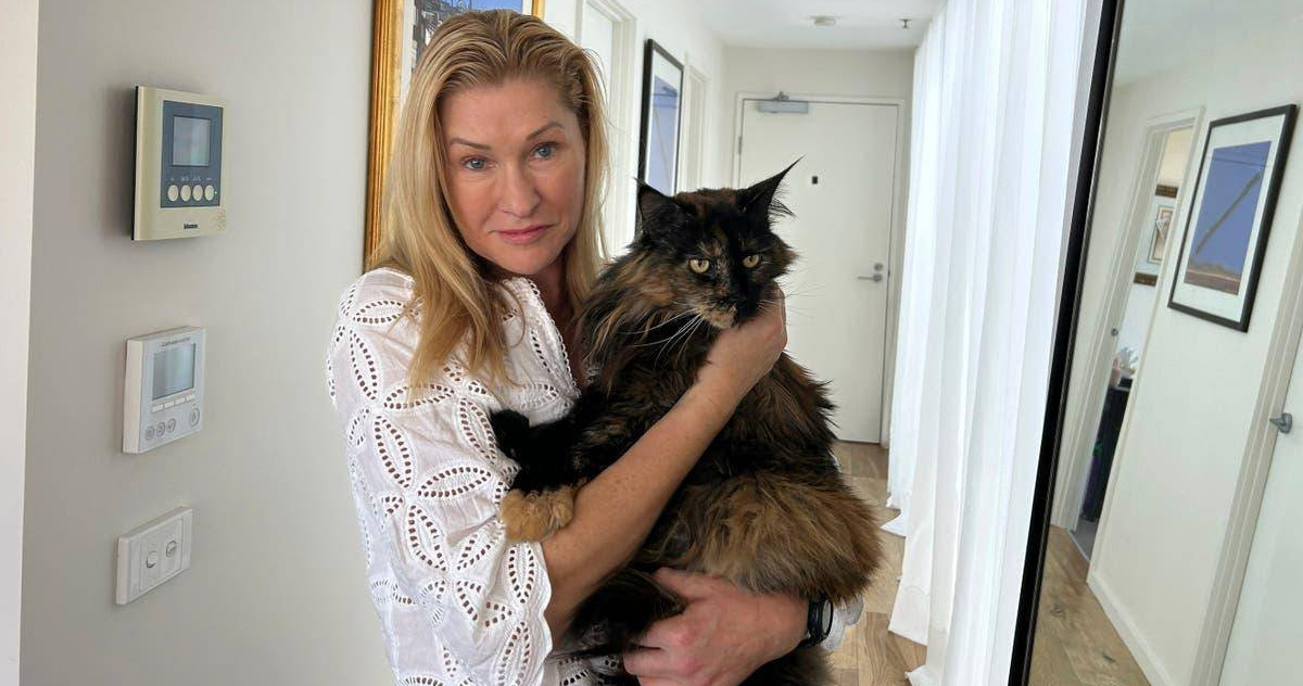 空中飛喵！行李員忘了8歲寵物貓 牠1天內「紐澳3連飛」 | 生活 | CTWANT