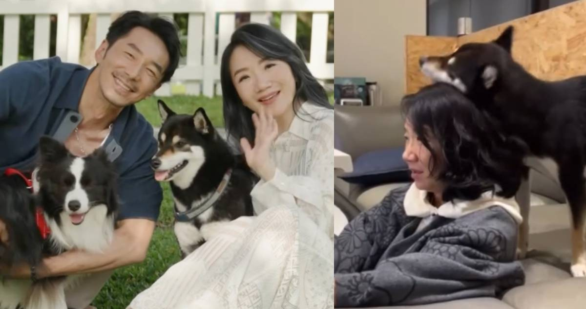 陶晶瑩、李李仁遭轟棄養愛犬！ 她親還原內幕：對毛小孩的愛未曾稍減 | 娛樂 | CTWANT