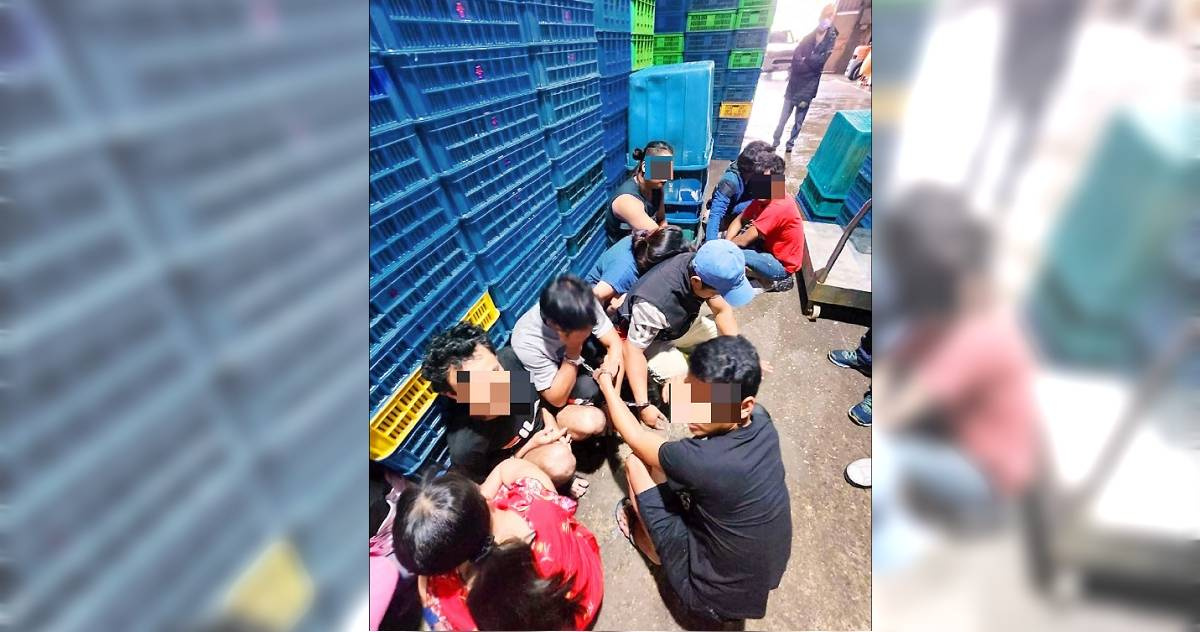 地下魚貨工廠遭查出12失聯移工 全擠貨櫃屋！天天與魚腥味為伍 | 社會 | CTWANT