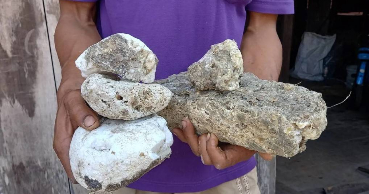 泰國海岸村民沿海灘撿螃蟹 竟意外發現3公斤珍貴龍涎香 | 國際 | CTWANT