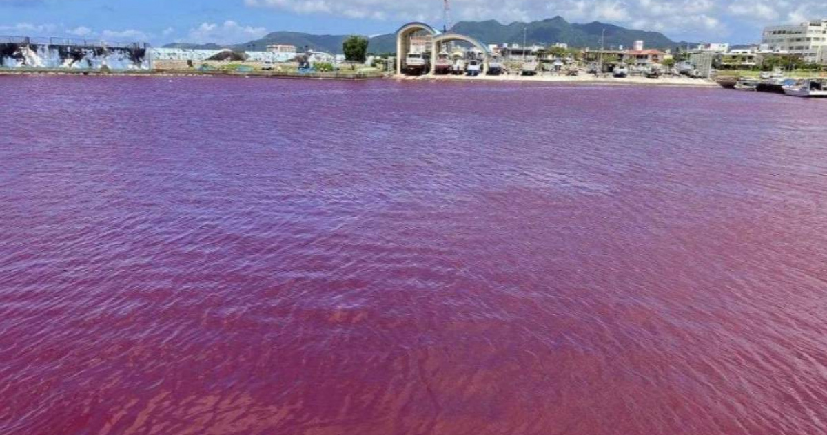 沖繩海域竟「一片赤紅血海」 竟是Orion啤酒廠廢水外洩 | 國際 | CTWANT