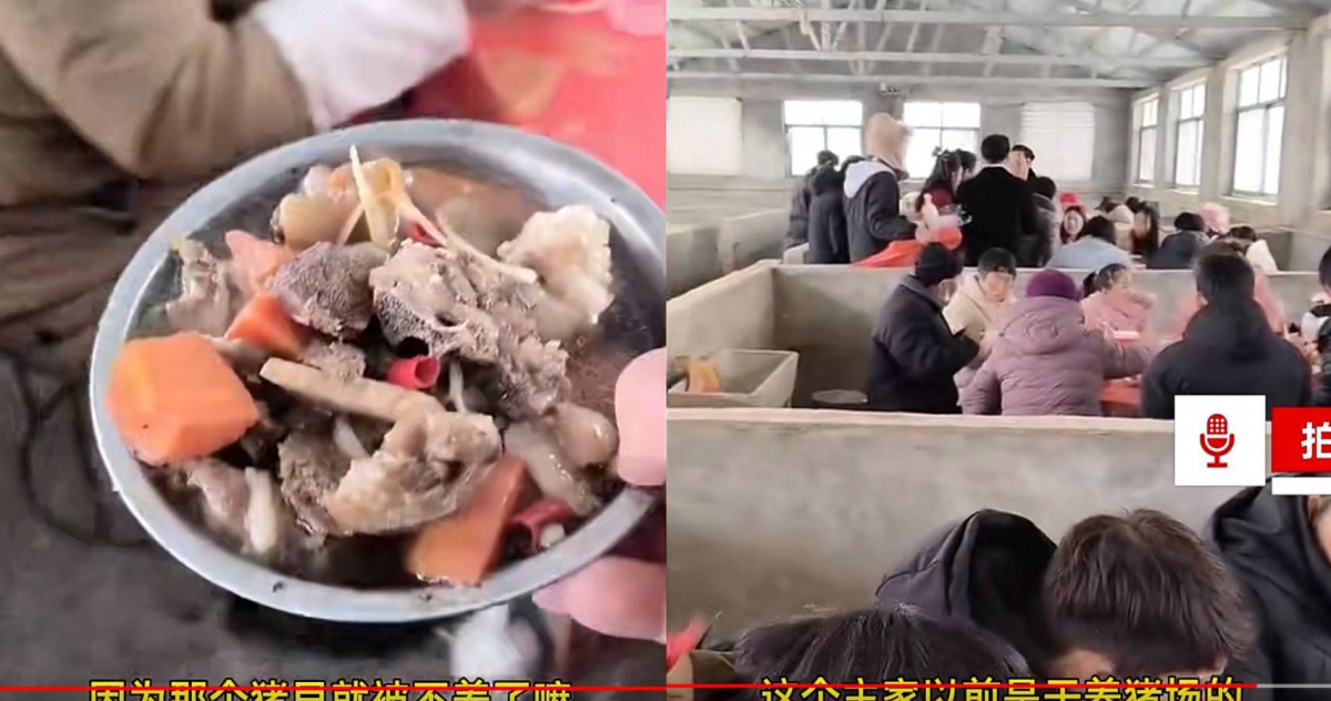 婚宴遇大雪辦在「豬圈」裡！ 賓客大讚：乾淨又暖和 | 國際 | CTWANT