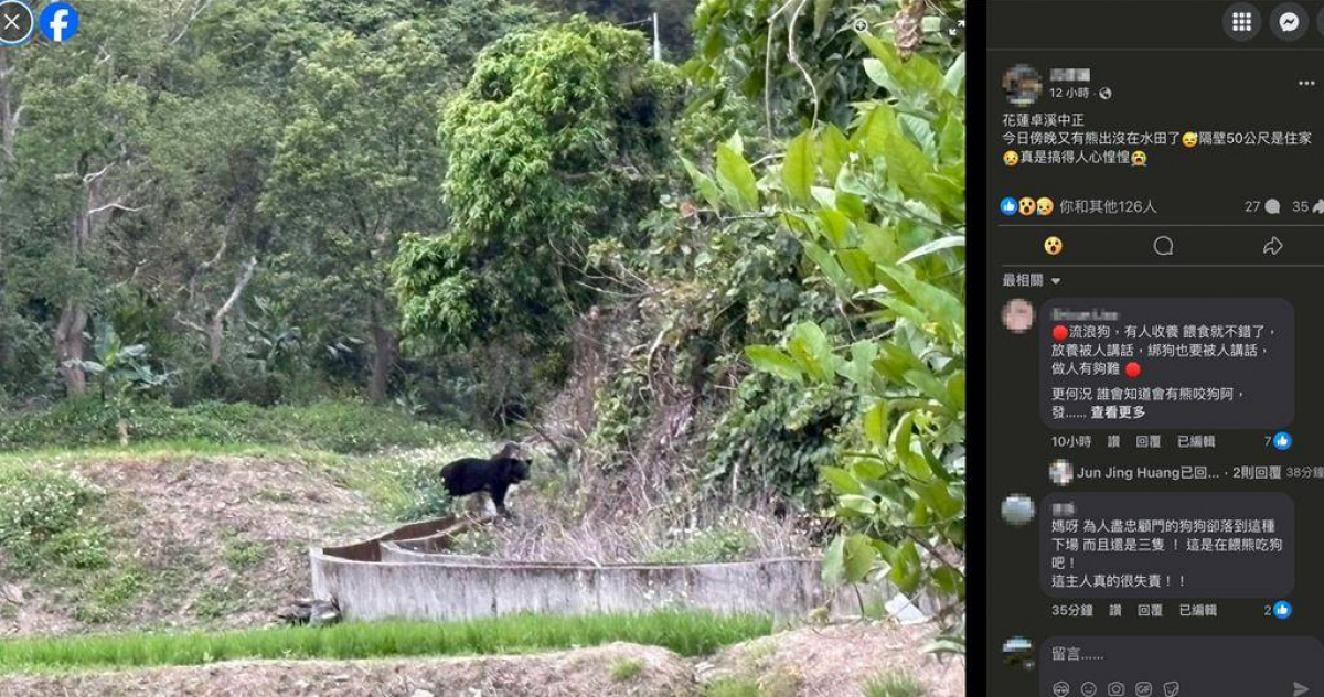 黑熊現蹤花蓮部落！「離住家僅50公尺」居民怕爆 玉管處證實：4年前野放 | 生活 | CTWANT