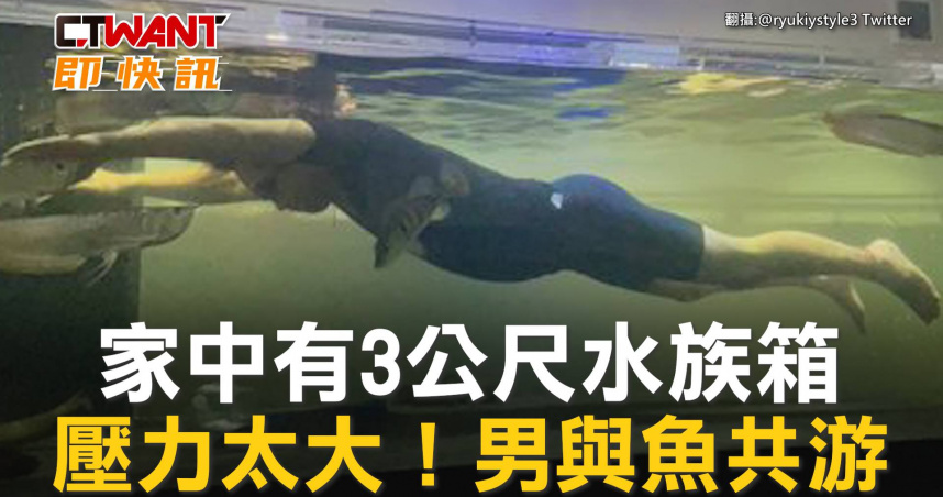 家中有3公尺水族箱 壓力太大！男與魚共游 | 影音 | CTWANT